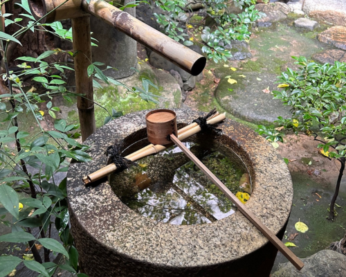 Procedure | Kyoto Tea Ceremony & Tea Grinding Experience in Arashiyama ...